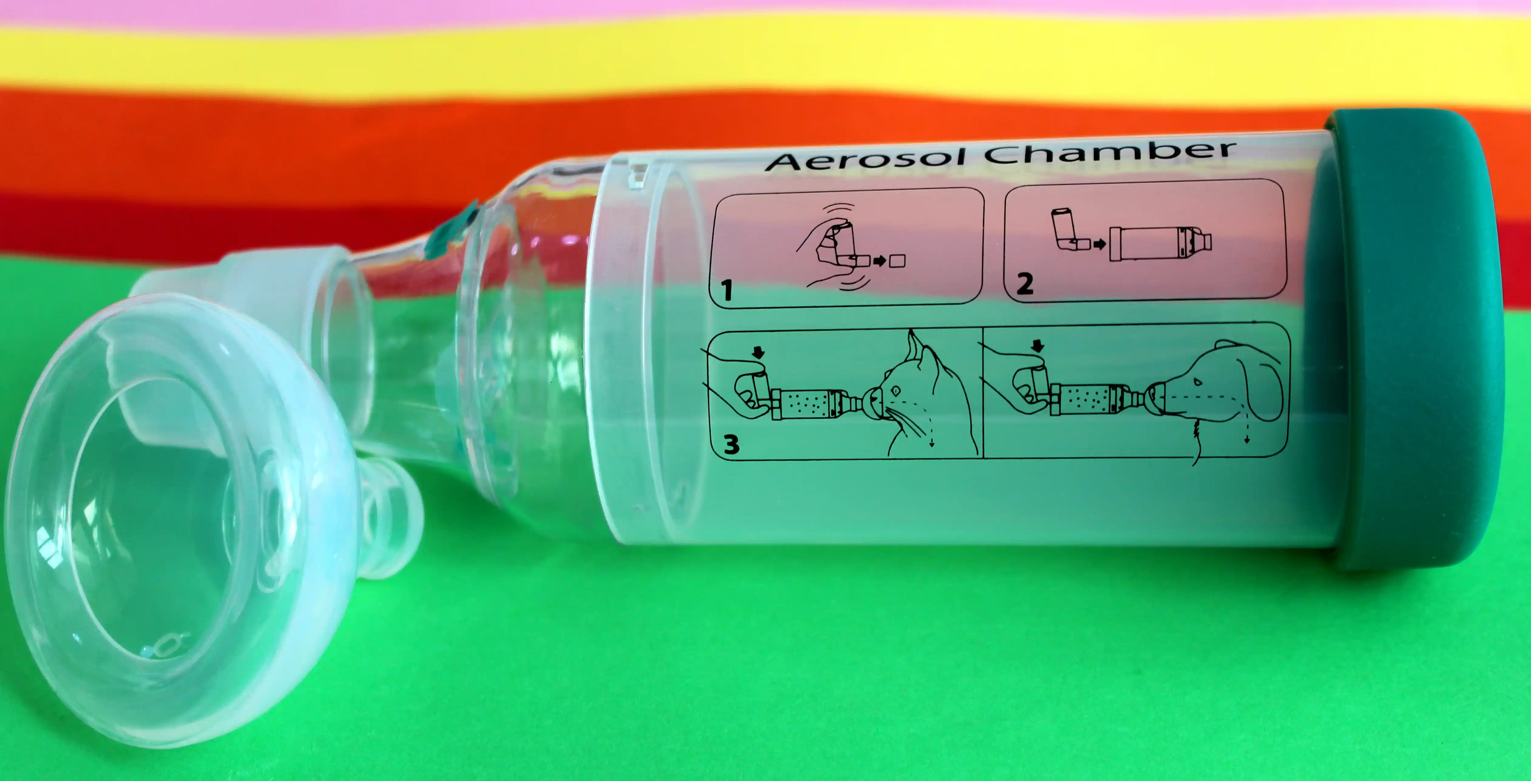 Aerosol Chamber
