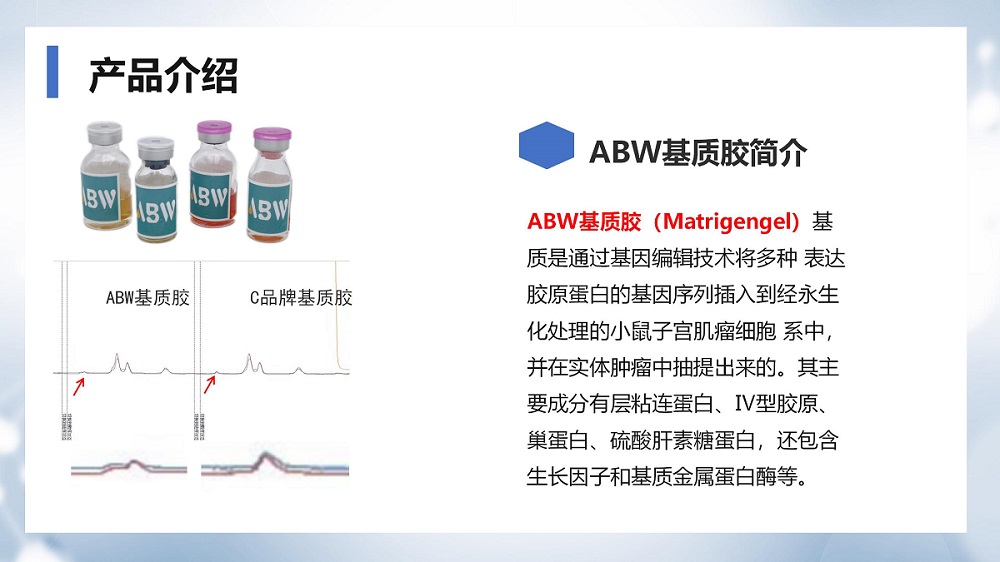 ABW基质胶使用注意事项-杭州昊鑫生物