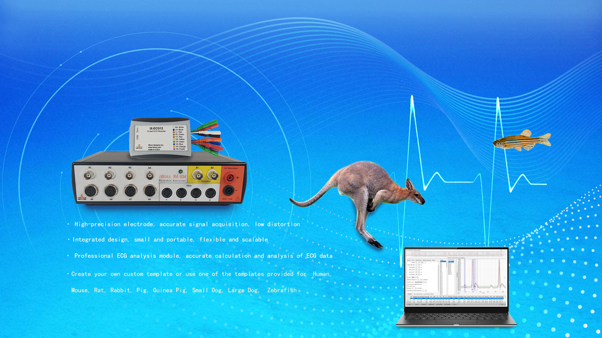 A small animal gas anesthesia machine-A small animal breathing machine ...