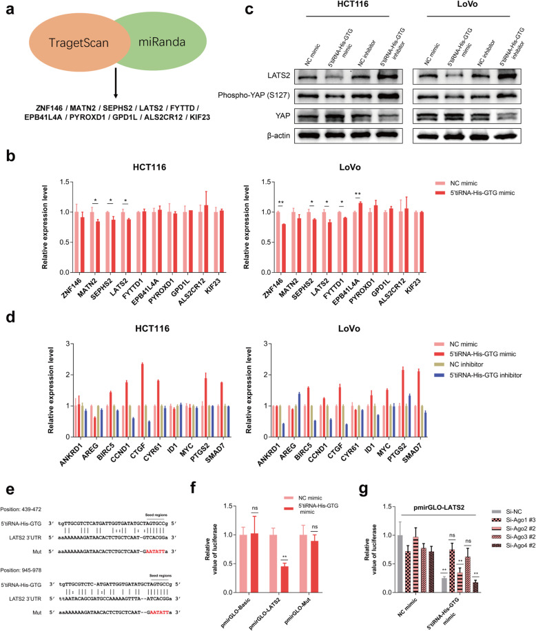 tsRNA在结直肠癌中发挥的重要作用-研载生物科技（上海）有限公司