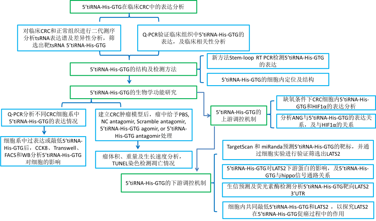 tsRNA在结直肠癌中发挥的重要作用-研载生物科技（上海）有限公司