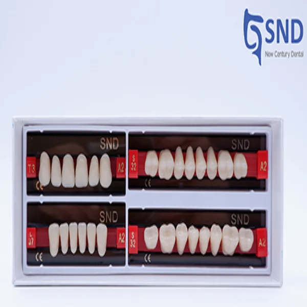 Synthetic Resin Teeth: A Comprehensive Guide