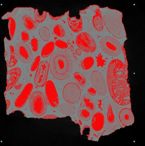 Micro CT丨Scanning System丨CTAn Features Introduction: ROI Selection of ...