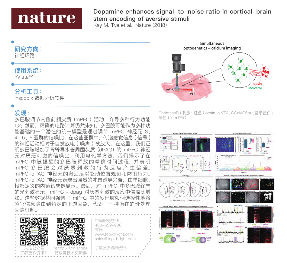 nVoke2.0自由活动钙显微成像-Inscopix-滔博生物