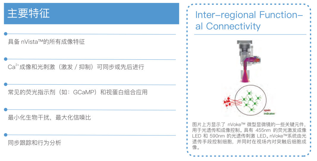 nVoke2.0自由活动钙显微成像-Inscopix-滔博生物