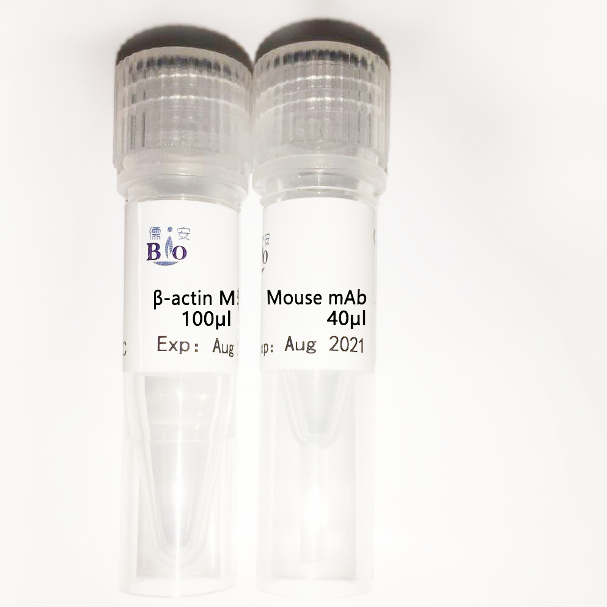 β-actin Mouse mAb -上海儒安生物科技有限公司
