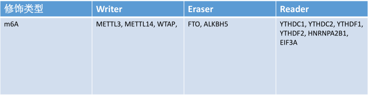 20分Nature子刊|揭秘神经发育过程中m6A RNA甲基化与组蛋白修饰间的关系