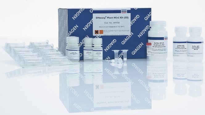 DNeasy Plant Mini Kit-上海博竞生物科技有限公司