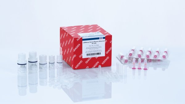 RNA抽提与纯化-上海博竞生物科技有限公司