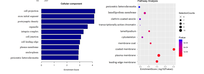 Nature重磅新星——eccDNA的物种发现史-技术前沿-资讯-生物在线