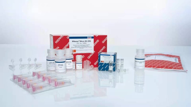 RNeasy Micro Kit-上海博竞生物科技有限公司
