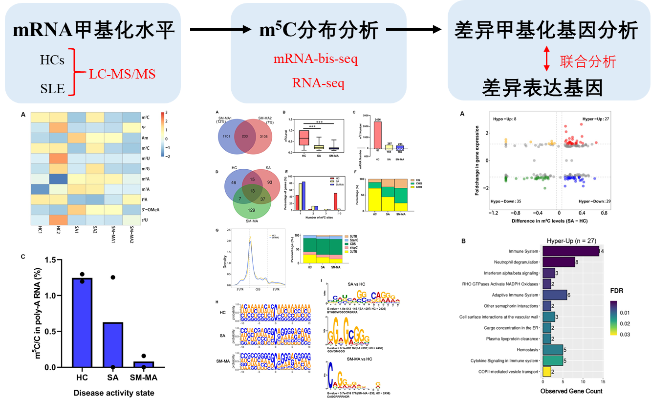 云序4篇项目文章|m5C RNA修饰表达谱文章教您如何另辟蹊径快速发文 - 技术前沿 - 资讯 - 生物在线