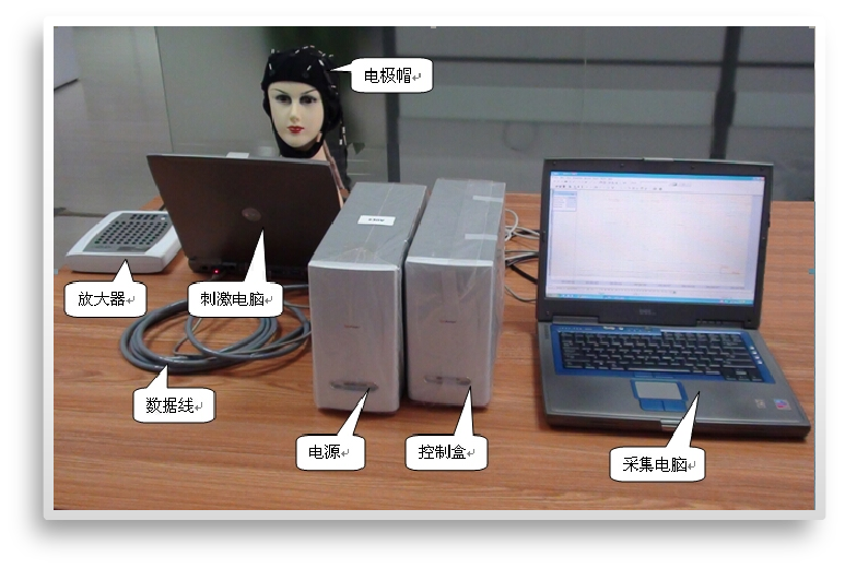 Neuroscan EEG/ERP系统_Neuroscan脑电_脑科学_脑电_生物力学_人因工程_人因工效_上海逢友信息科技有限公司