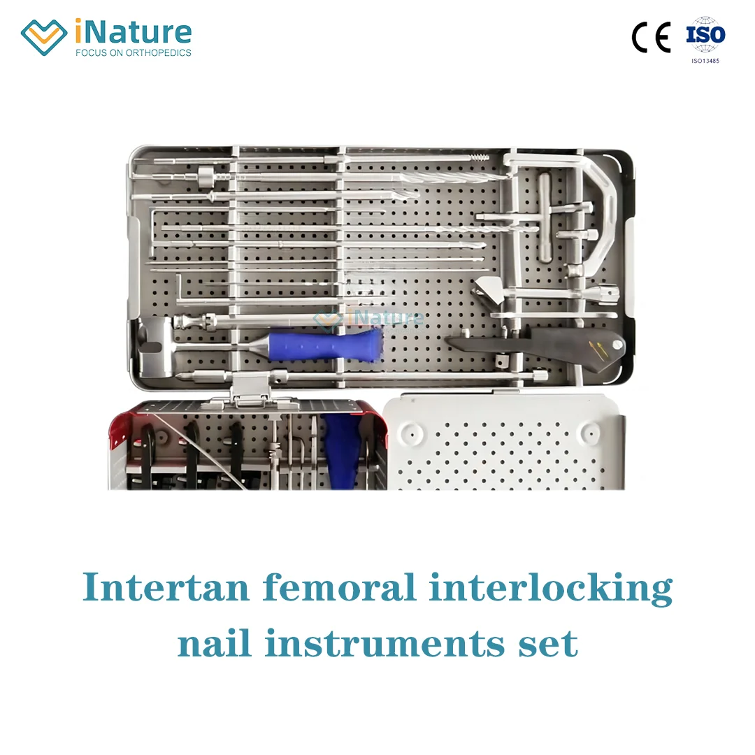 Intertan Femoral Interlocking Nail Instruments Set-| iNature ...