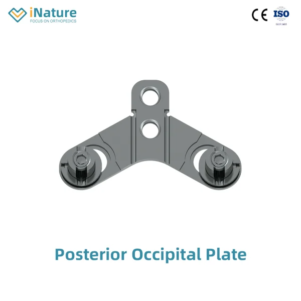 Spinal Rods And Screws Supplier/Oem For Spinal Fusion-Inature