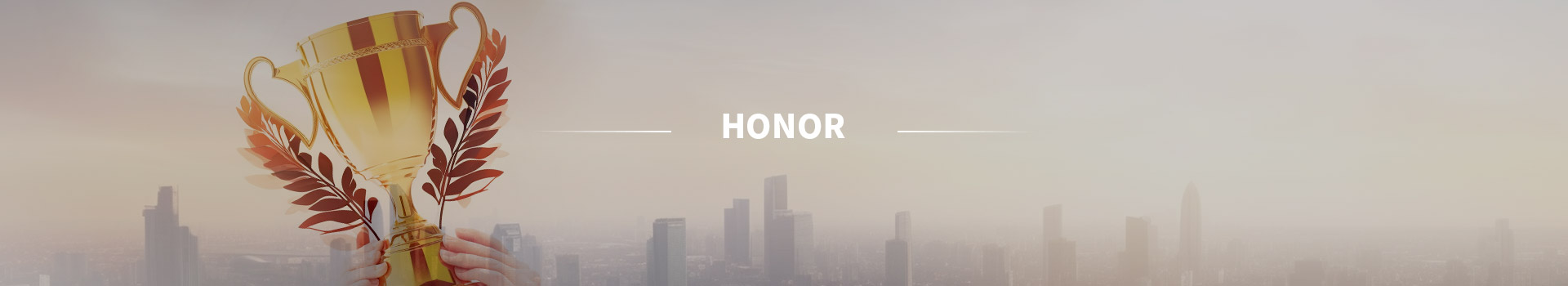 Enterprise Honor-Design Award-Factory Inspection Certificate