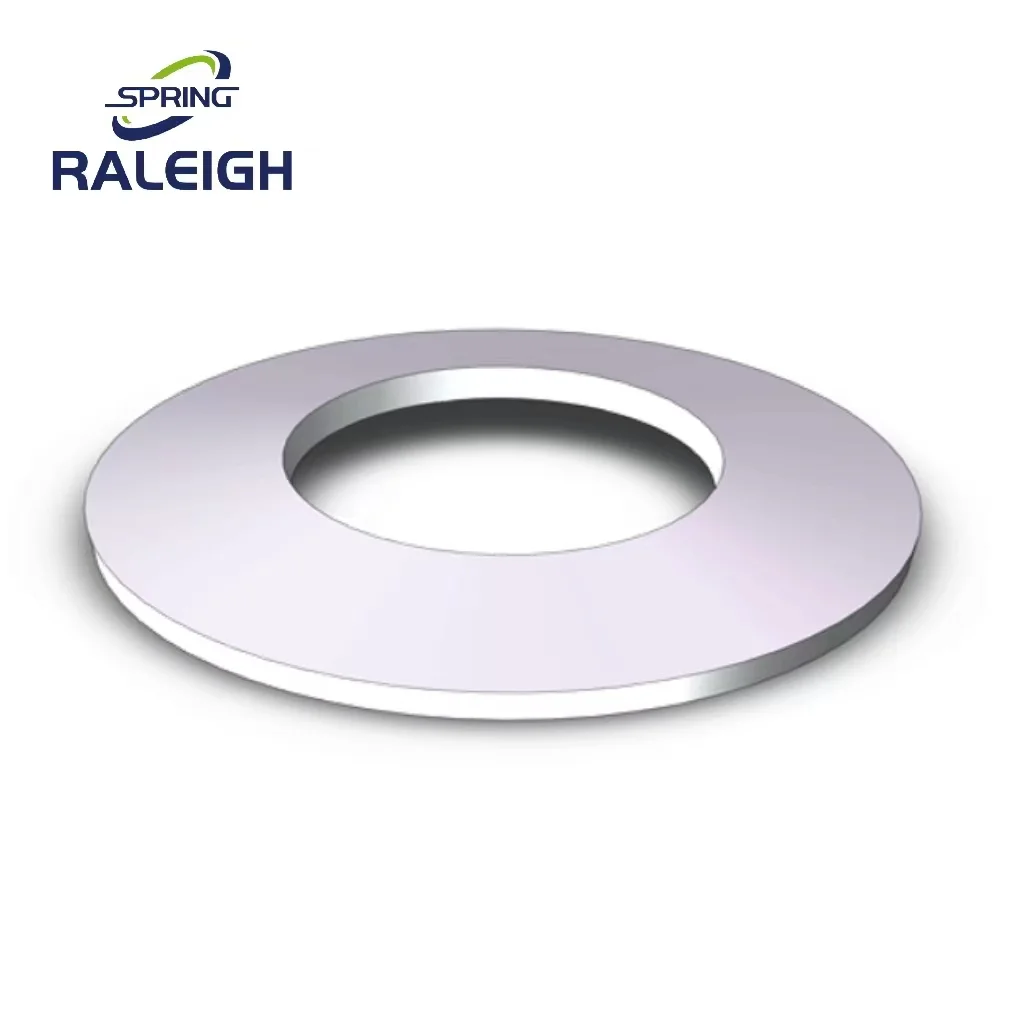 High Torque Disc Spring-Raleigh Spring