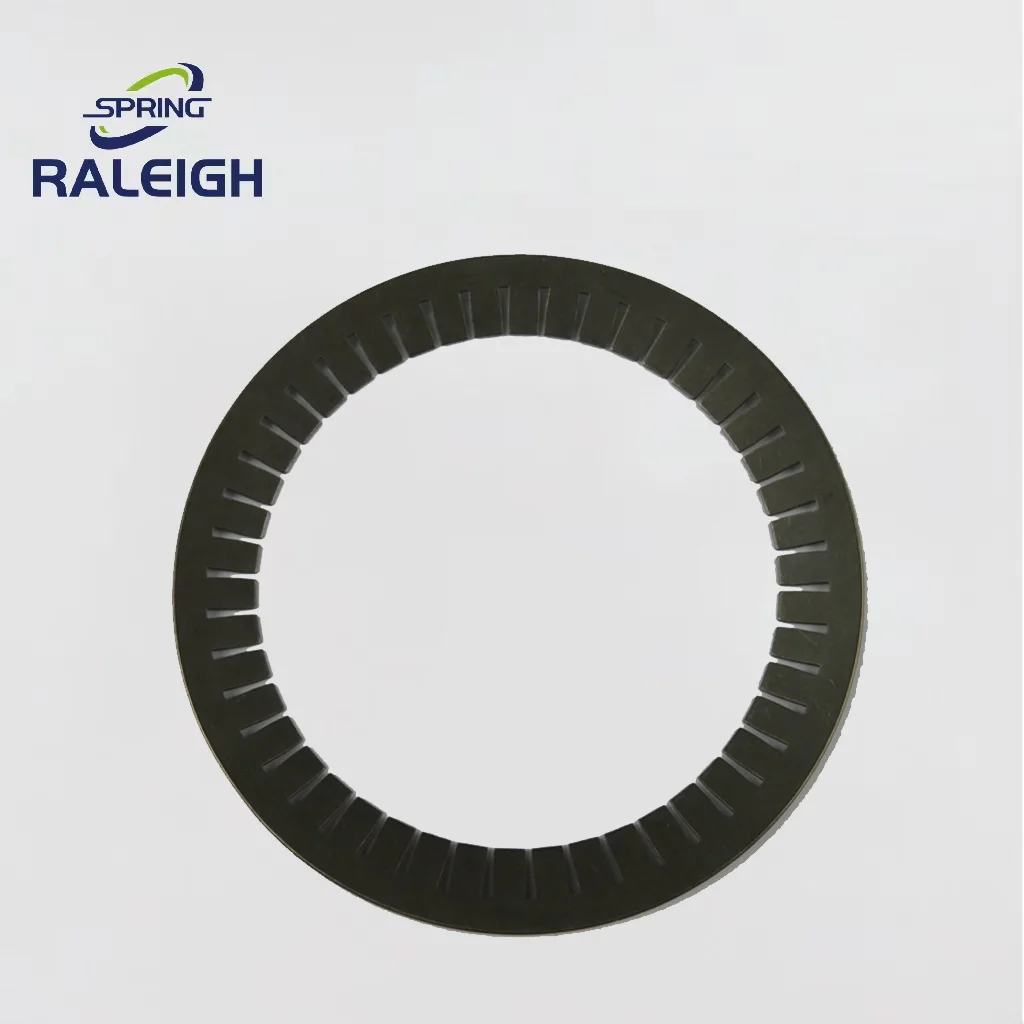 Bearing Preload Disc Spring-Raleigh Spring