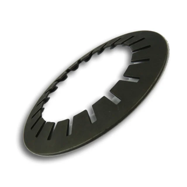 Bearing Preload Disc Spring-Raleigh Spring