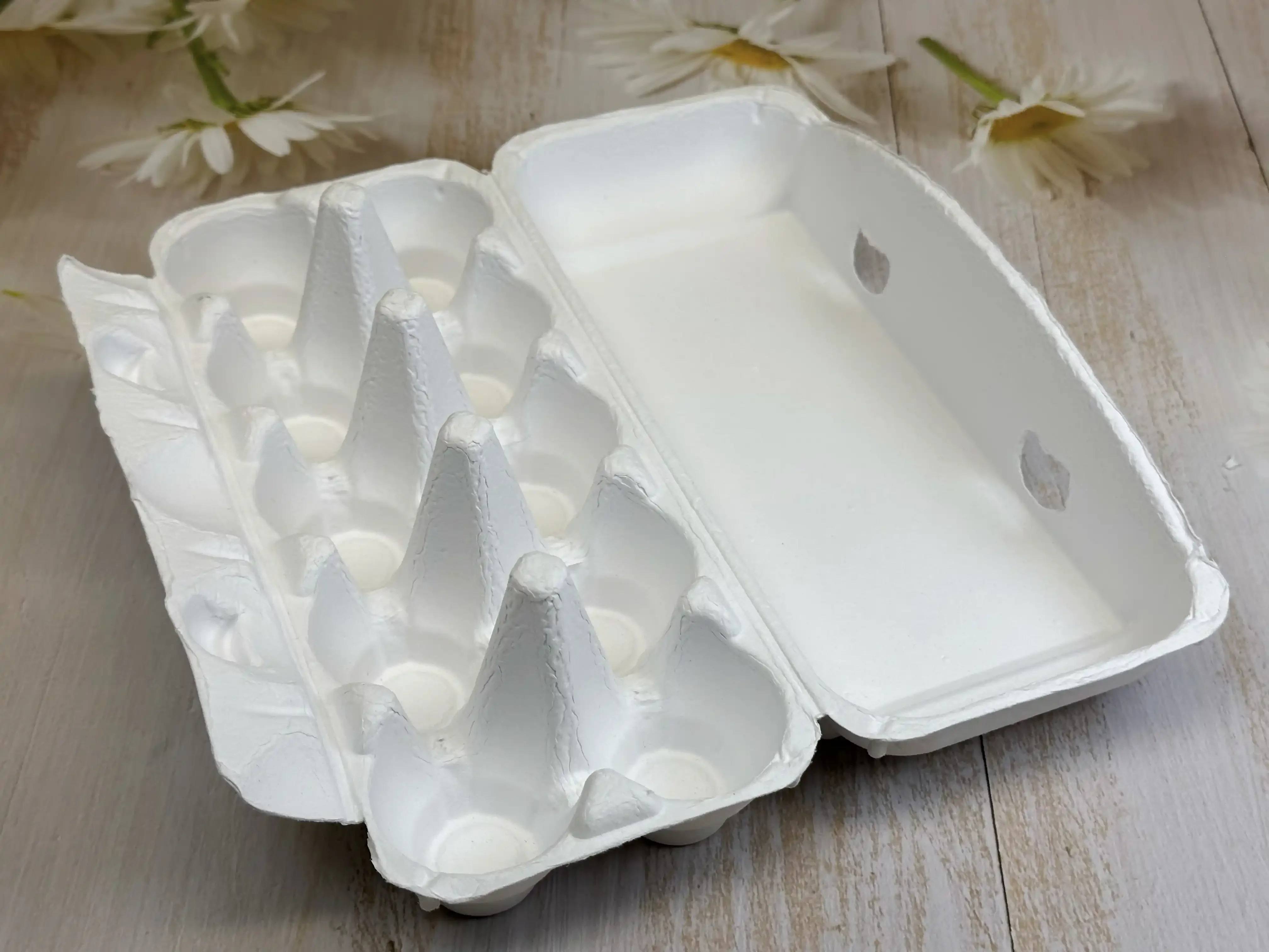 Pulp Molded Egg Cartons Manufacturer And Wholesaler-G-COVE