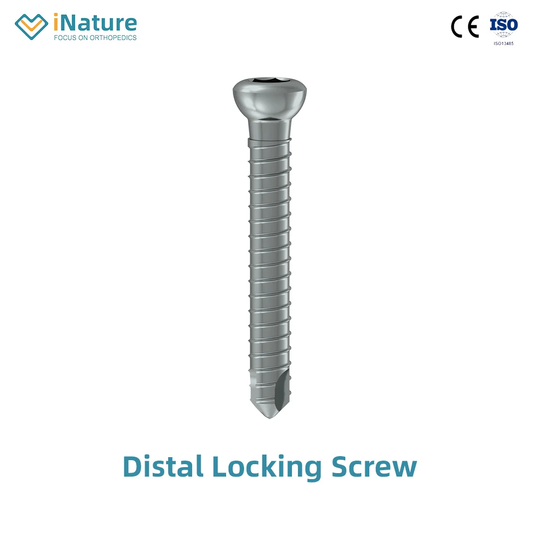 Intertan-Intertrochanteric Compression Nail-| iNature - Manufacturer & Sale