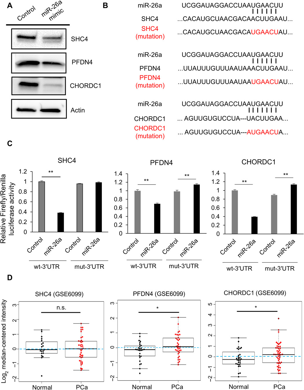 miR26a靶向SHC4、PFDN4、CHORDC1调节前列腺癌细胞分泌细胞外囊泡-研载生物科技（上海）有限公司