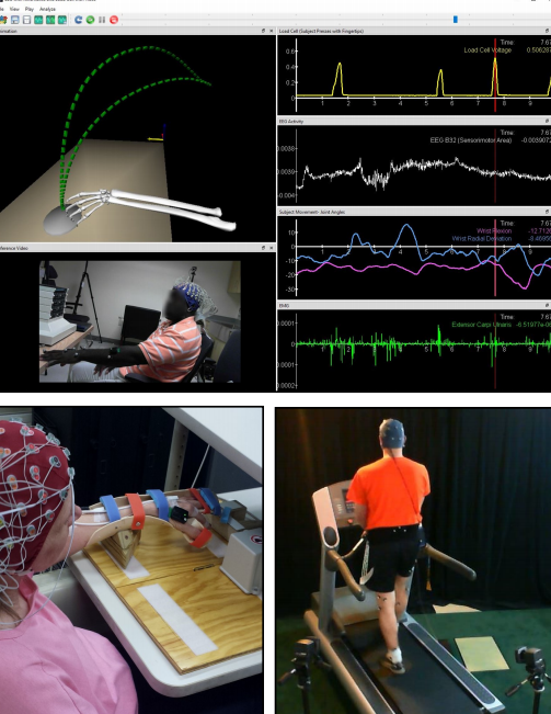 Motion Monitor 生物力学实时采集分析平台_Motion Monitor_上海逢友