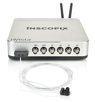 Cell Reports文章-下一代BCI-光学可穿戴系统-滔博生物