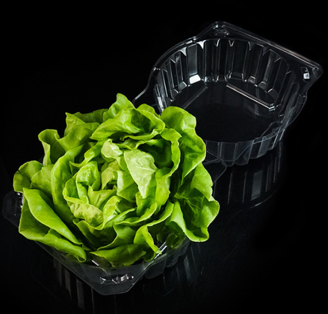 Blister Lettuce Clamshell Packaging Box-Manufacturer-for sell