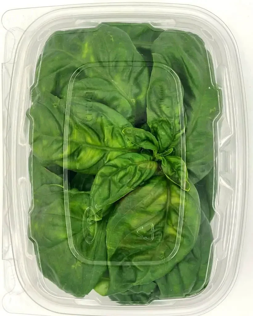 Basil Herb Container-Exporter-for Sale-Jiushihao