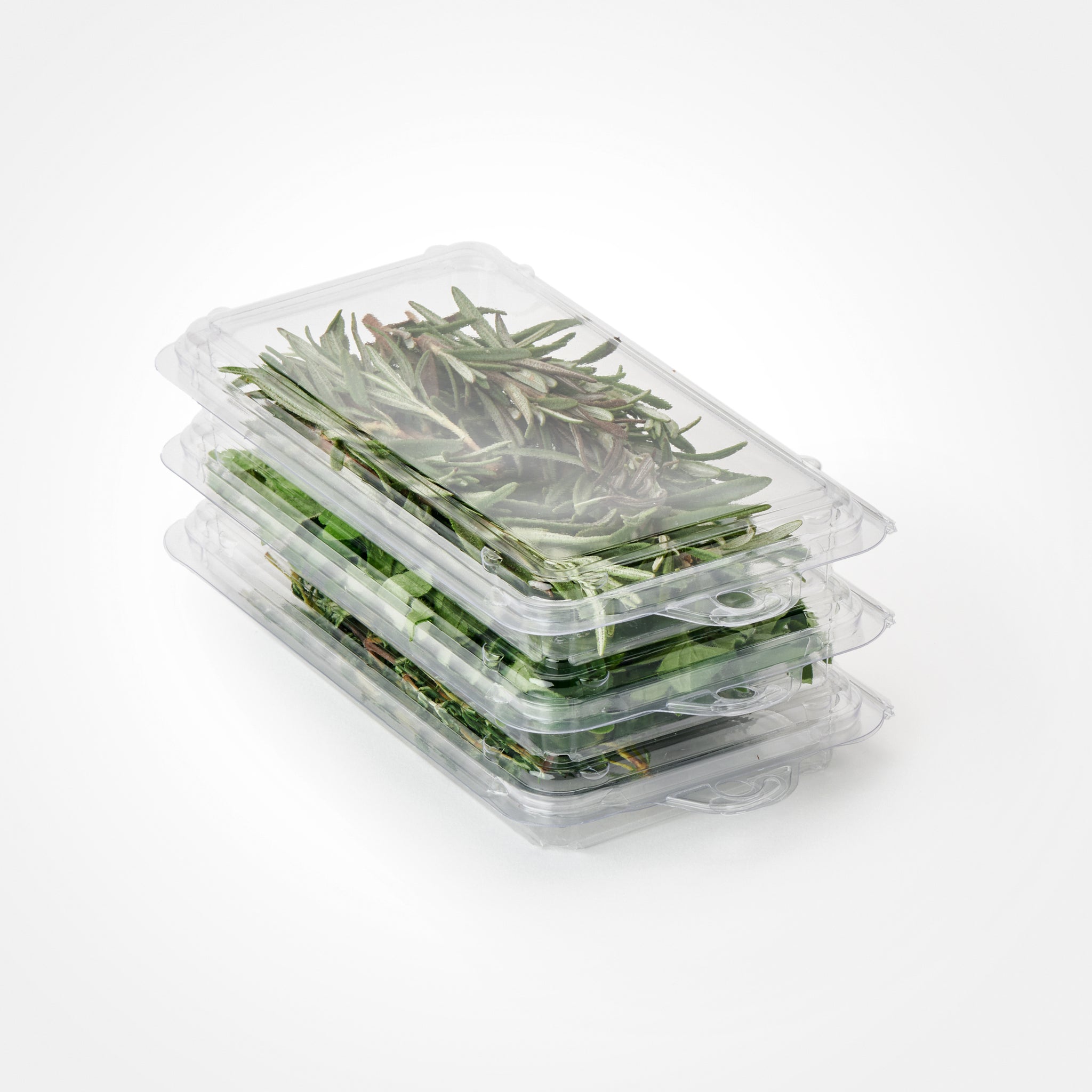 Basil Herb Container-Exporter-for Sale-Jiushihao
