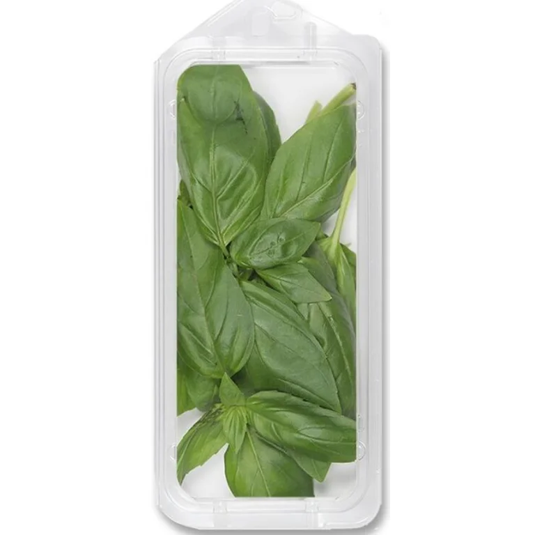 Basil Herb Container-Exporter-for Sale-Jiushihao