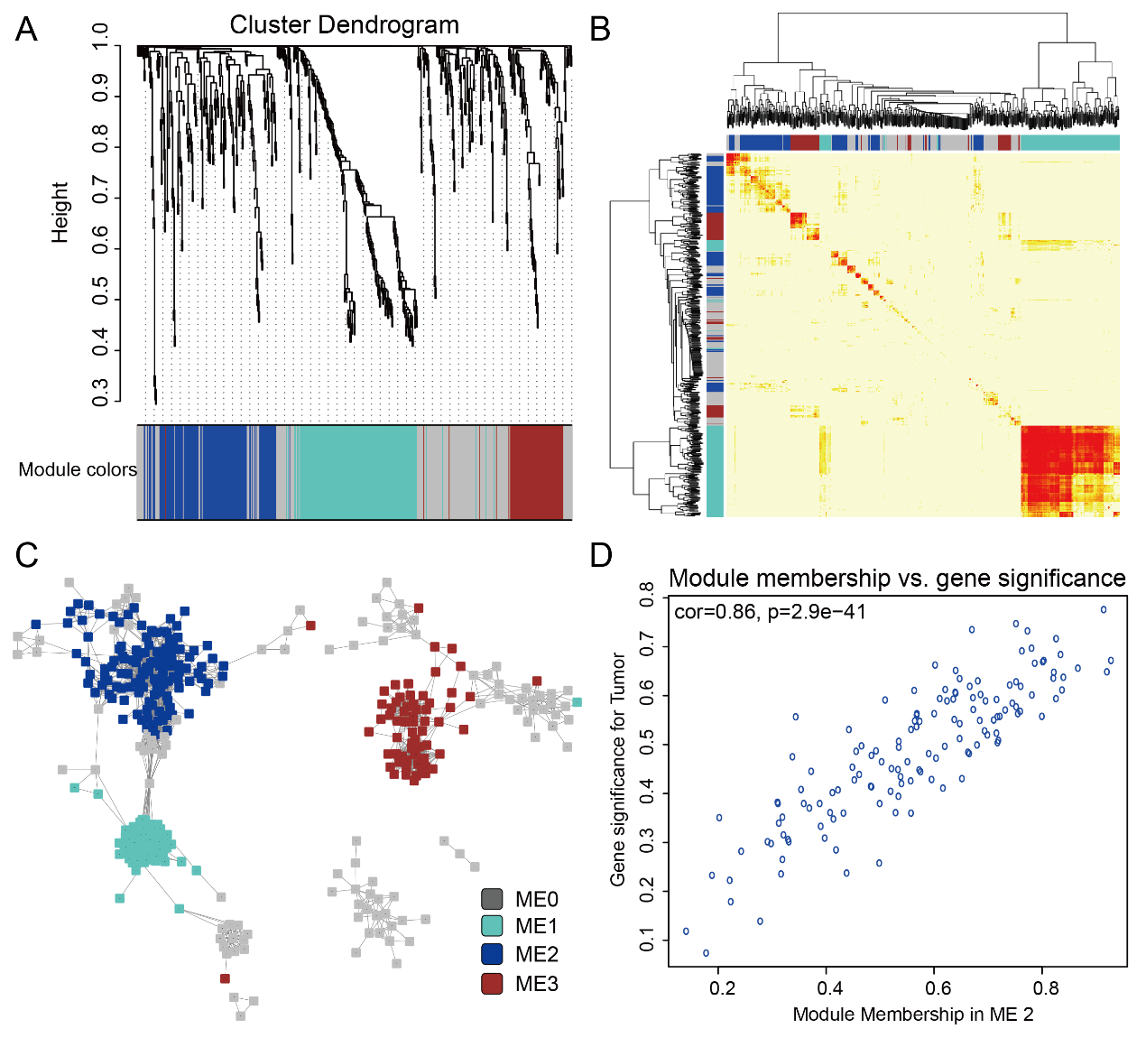 WGCNA功能模块分析-研载生物科技（上海）有限公司