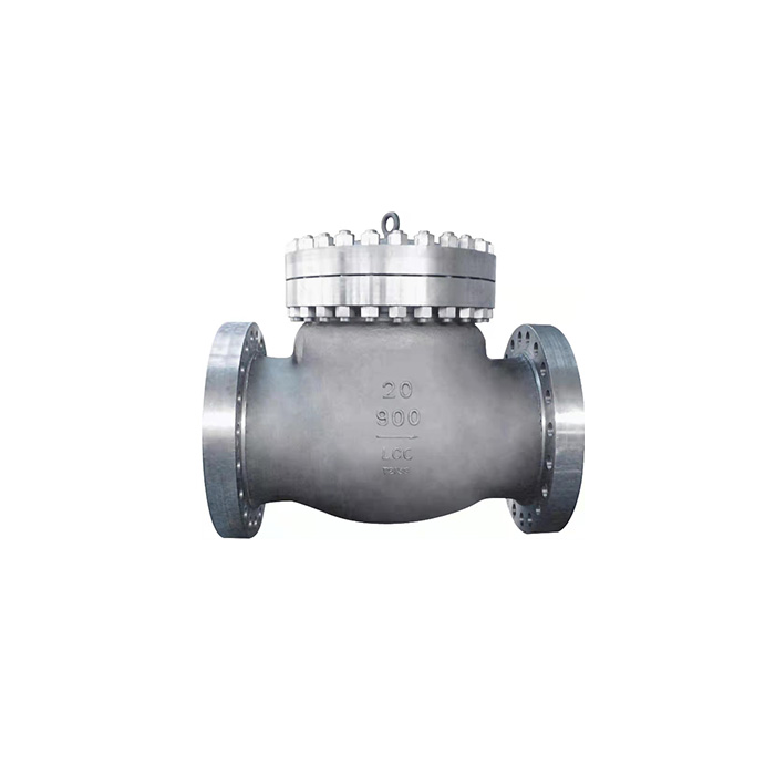 Stainless Steel Swing Check Valve-Swing Type Check Valve-Manufacturer