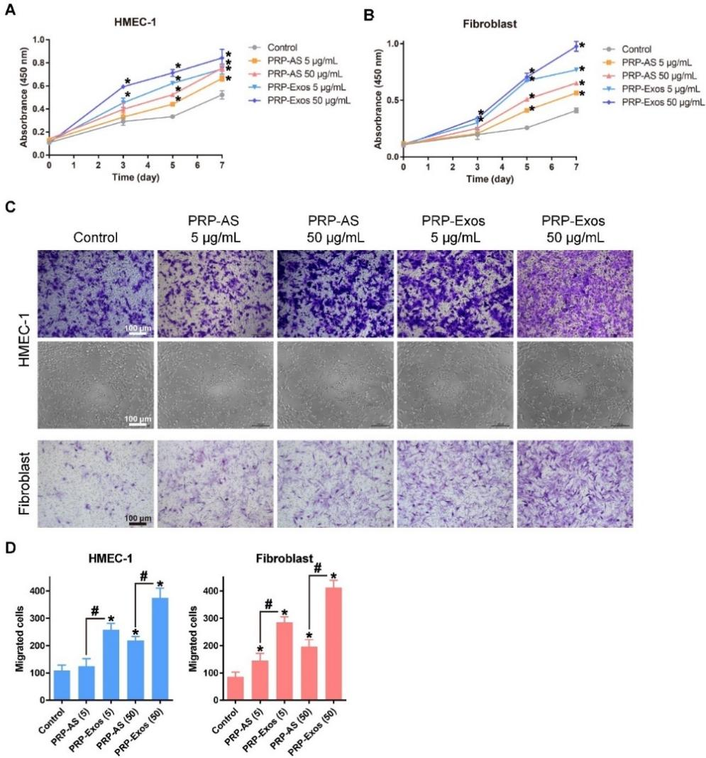 文献解读：从富含血小板的血浆中提取的外泌体通过激活YAP在糖尿病大鼠模型中促进慢性皮肤伤口的再上皮化-公司新闻-研载生物科技（上海）有限公司