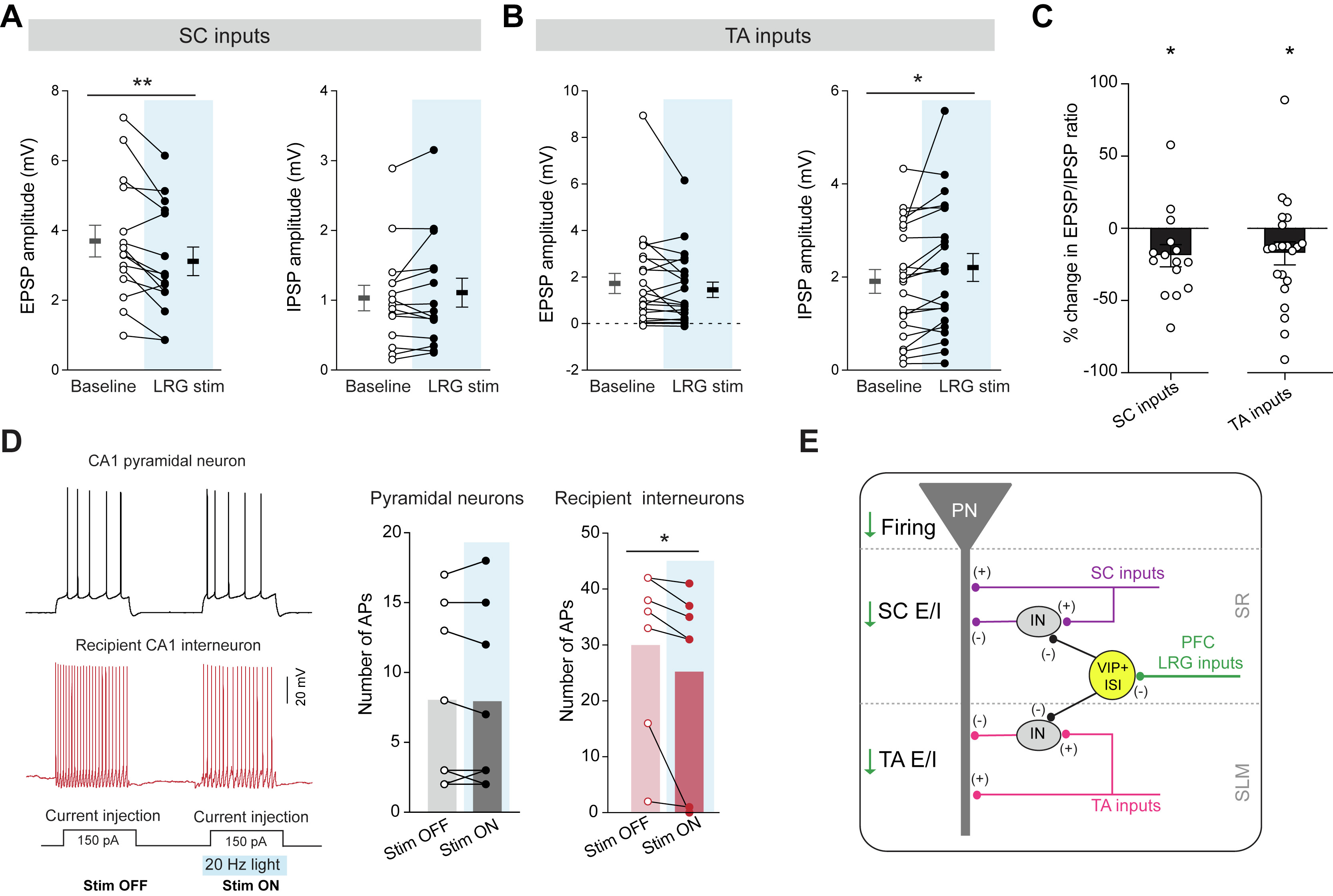 Inscopix nVoke系统发现了前额叶长程抑制对海马产生自上而下的控制-滔博生物