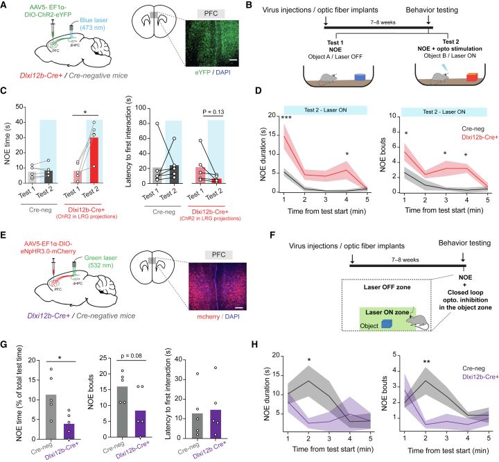 Inscopix nVoke系统发现了前额叶长程抑制对海马产生自上而下的控制-滔博生物