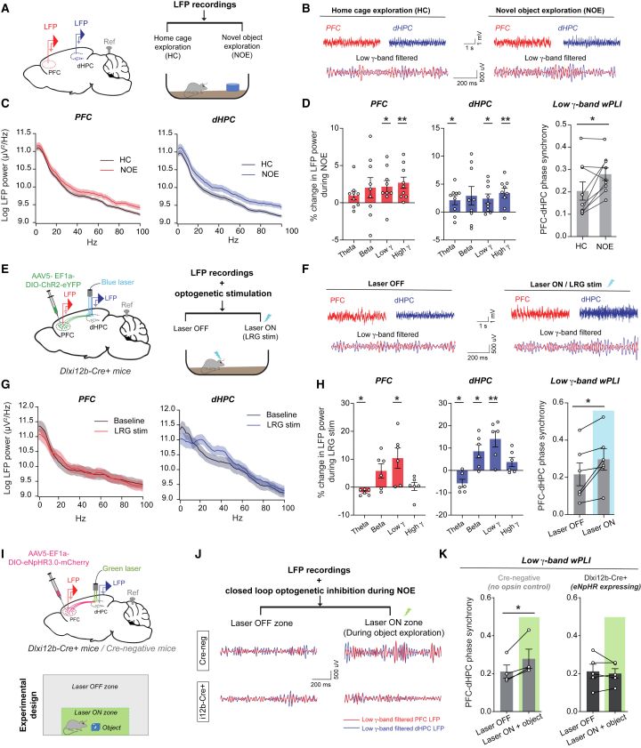 Inscopix nVoke系统发现了前额叶长程抑制对海马产生自上而下的控制-滔博生物