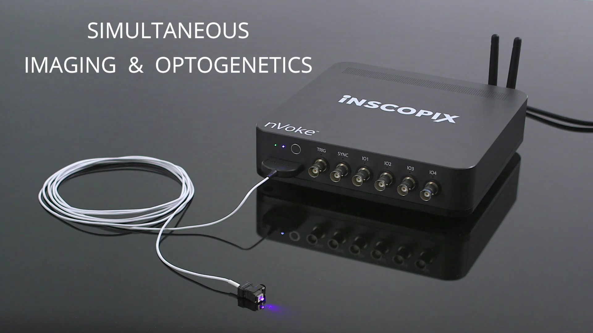 Inscopix nVoke系统发现了前额叶长程抑制对海马产生自上而下的控制-滔博生物