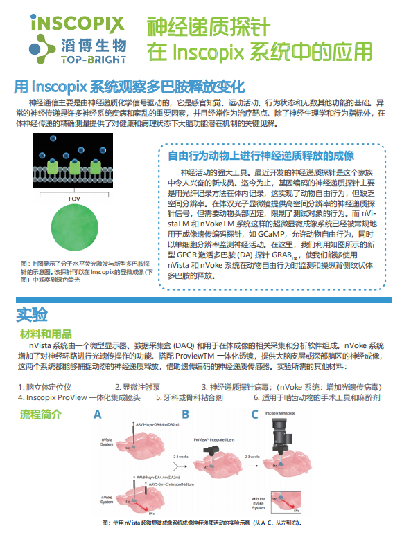 神经递质探针在Inscopix系统中的应用-滔博生物