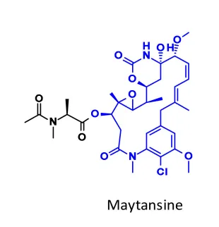 Why did we choose Maytansino?