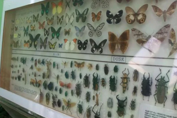 Parylene Coating Cultural Relic Metal Devices Protection Supply