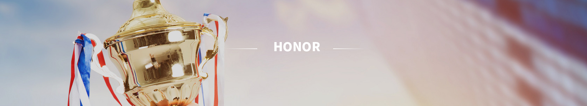 Enterprise Honor-Design Award-Factory Inspection Certificate