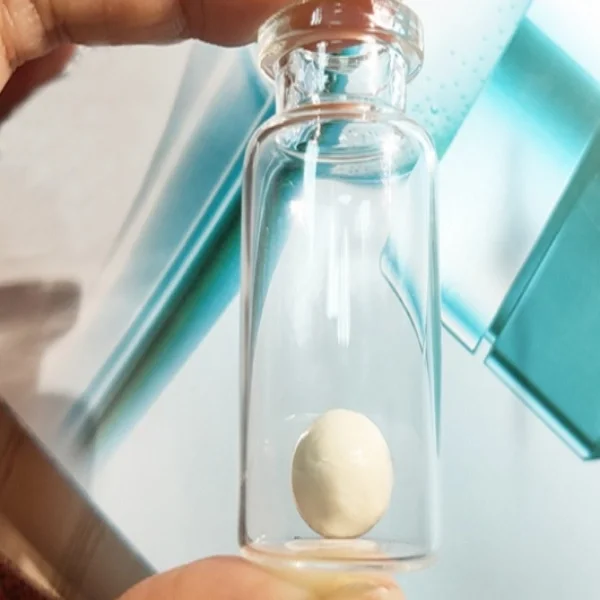 the preparation process of the lyophilized reagent beads