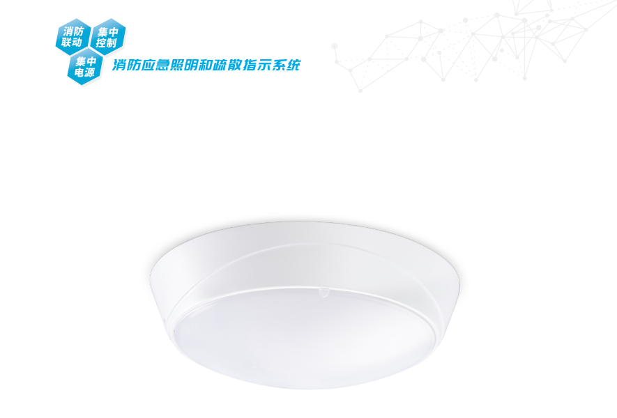 集中电源集中控制型消防应急照明灯具 ZX1225A1_中山市左向照明有限公司