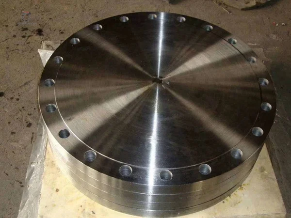 The difference between spectacle blank flange and blind flange