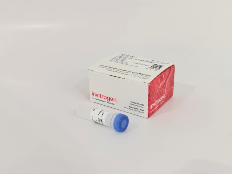 Lipofectamine™ RNAiMAX 转染试剂-杭州昊鑫生物