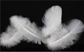 Dermasil 104-上海瞬锋化工科技有限公司