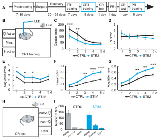 【Sci Adv】耶鲁大学Marina Picciotto团队重新解析大脑对奖赏信息的处理-因斯蔻浦(上海)生物科技有限公司