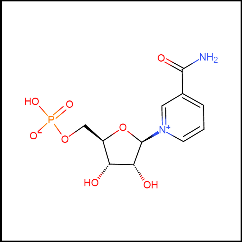 β 烟酰胺单核苷酸 南京诺云生物科技有限公司
